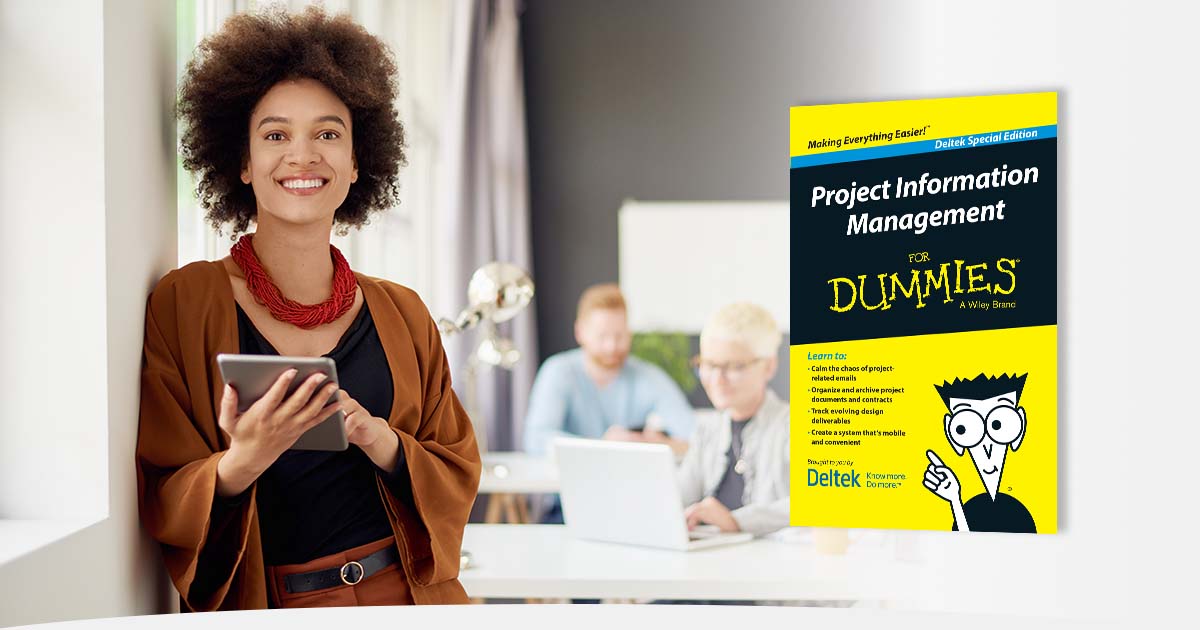 Project Information Management for Dummies | Stambaugh Ness