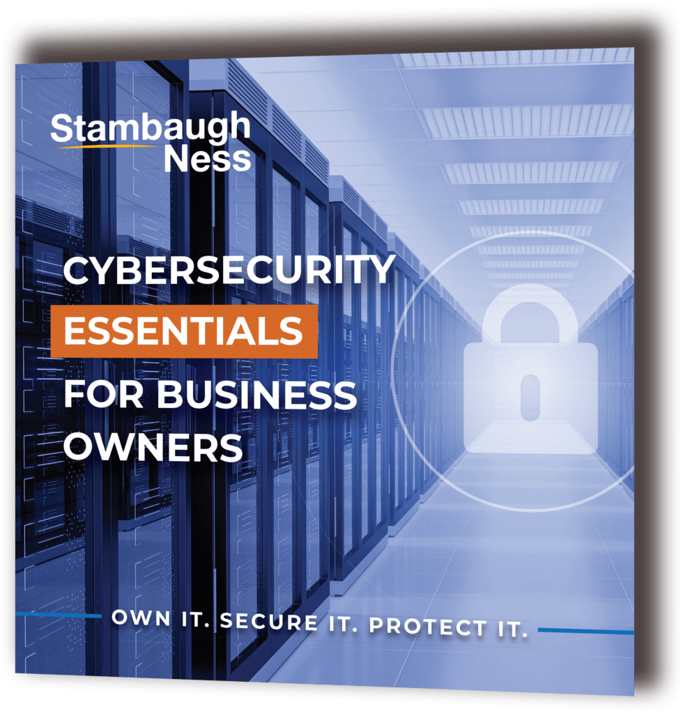 Cybersecurity Essentials for Business Owners | Stambaugh Ness